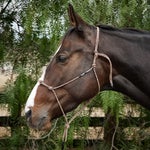 Weaver Silvertip Rope Halter - Riding Warehouse