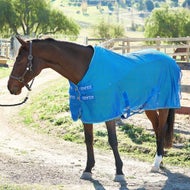 Coolers & Anti-Sweat Sheets - Riding Warehouse