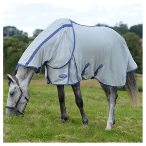 Best Fly Sheets of 2022