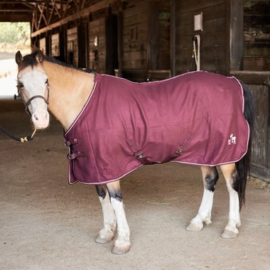 Coolers & Anti-Sweat Sheets - Riding Warehouse