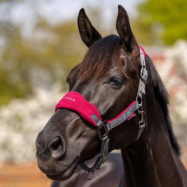 LeMieux Horse Halters - Riding Warehouse