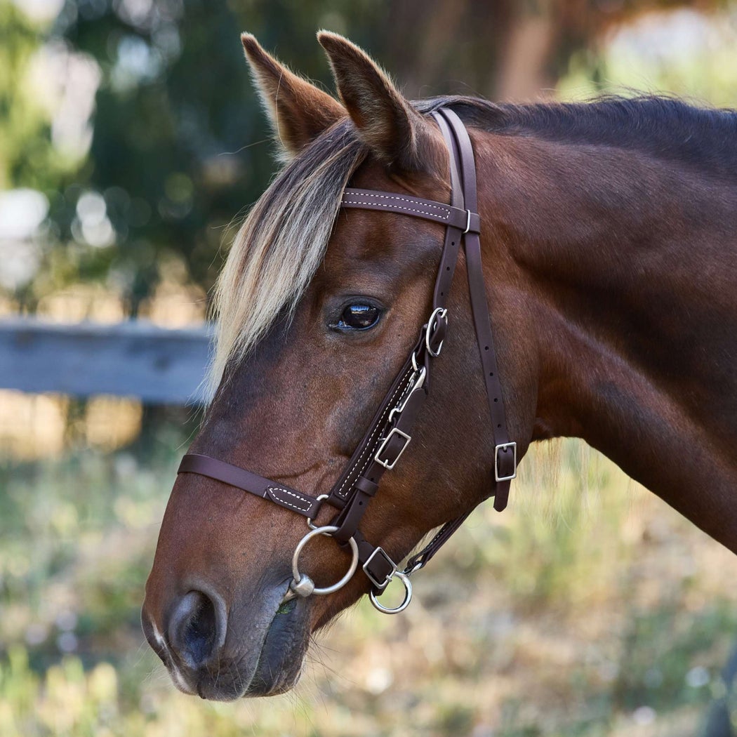 Endurance Horseback Riding Bridles & Accessories - Riding Warehouse