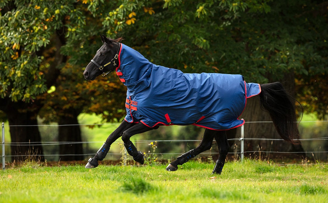 Horse Blankets & Sheets - Riding Warehouse