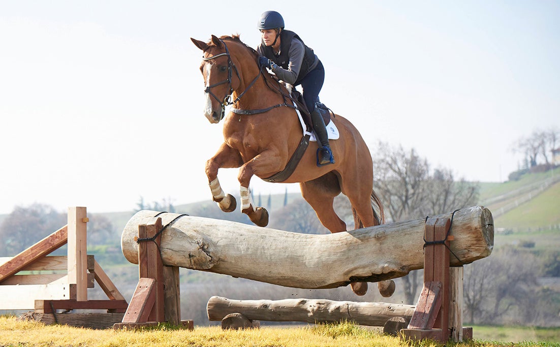 Horse & Rider Training Equipment - Riding Warehouse