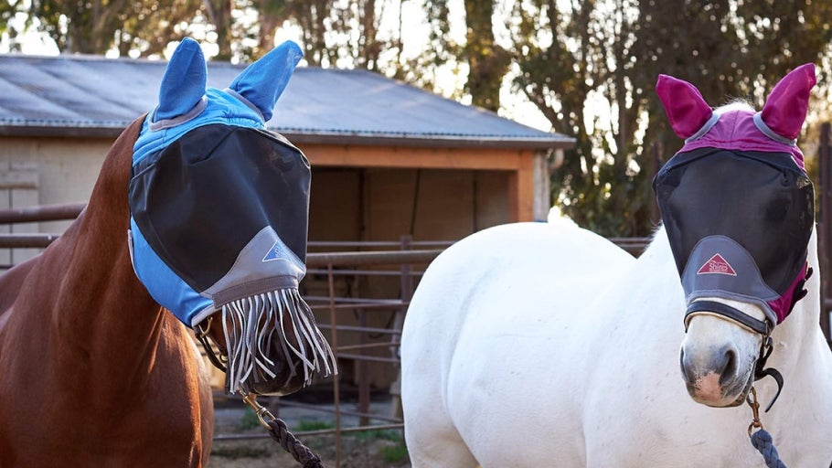 Fly Control and Protection for Horse & Barn - Riding Warehouse