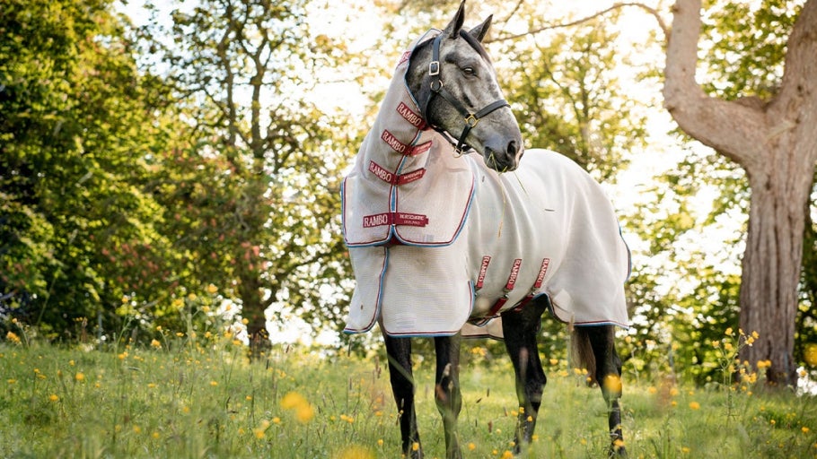 Fly Control and Protection for Horse & Barn - Riding Warehouse