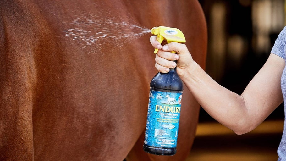 Riding Warehouse Learning Center - Riding Warehouse