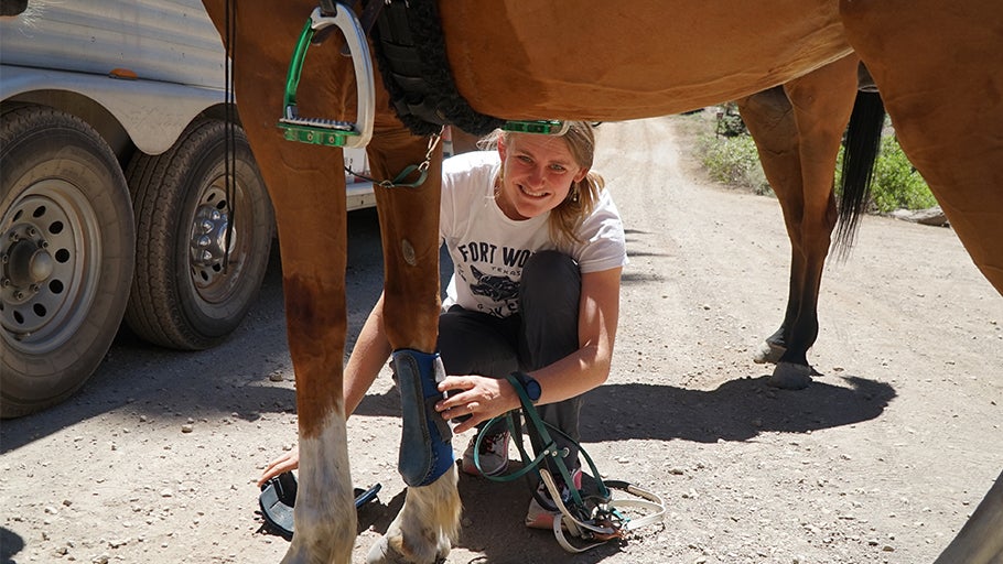 Horse & Rider Training Equipment - Riding Warehouse
