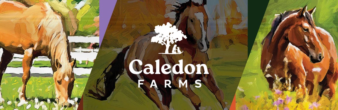 Caledon Farms - Riding Warehouse
