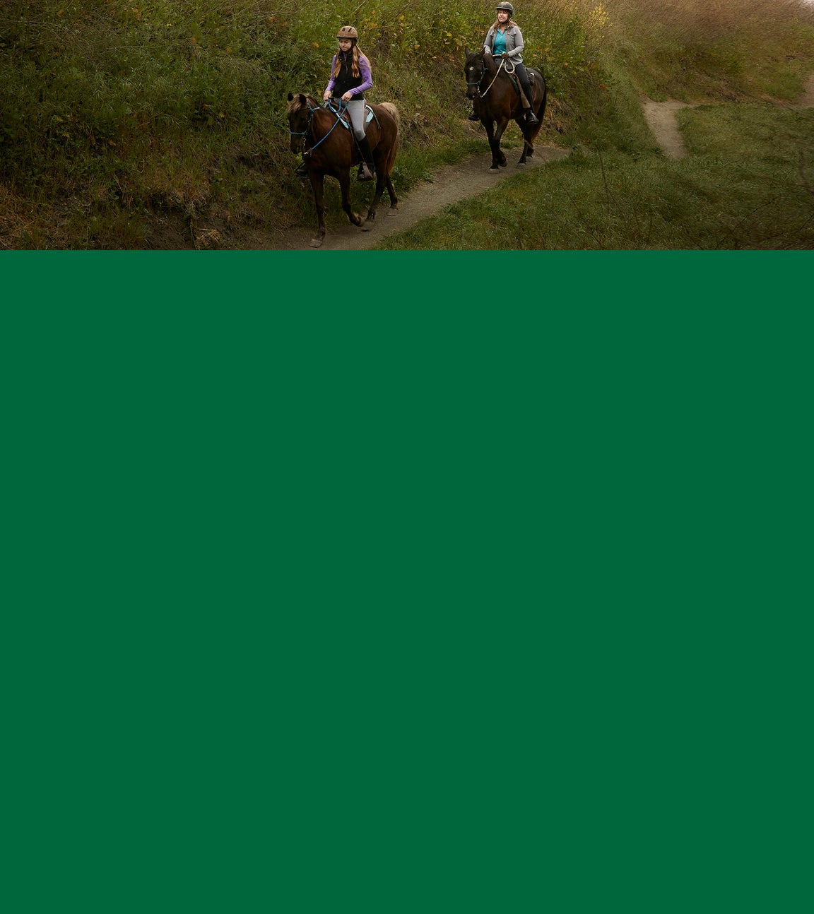 Western Horse Tack - Riding Warehouse