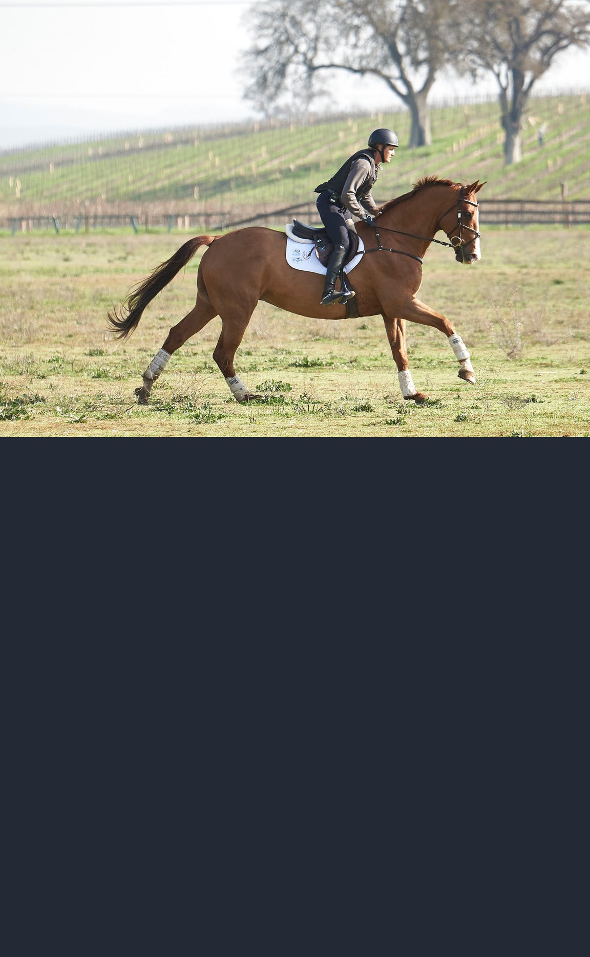 Women's Western Riding Apparel - Riding Warehouse