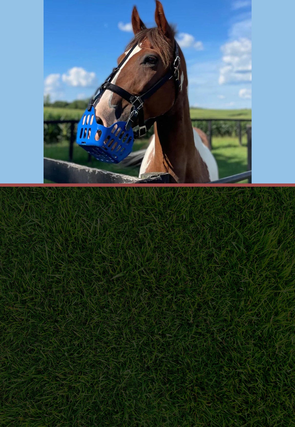 Deals Worth Nickering About - Riding Warehouse