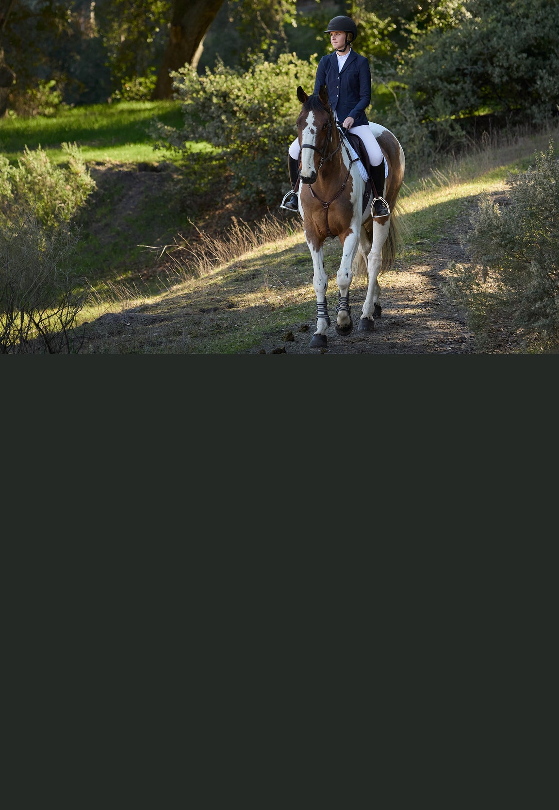 Horse Tack | Horse Gear & Supplies - Riding Warehouse