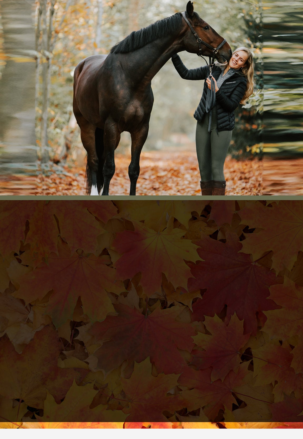 Horse Tack | Horse Gear & Supplies - Riding Warehouse