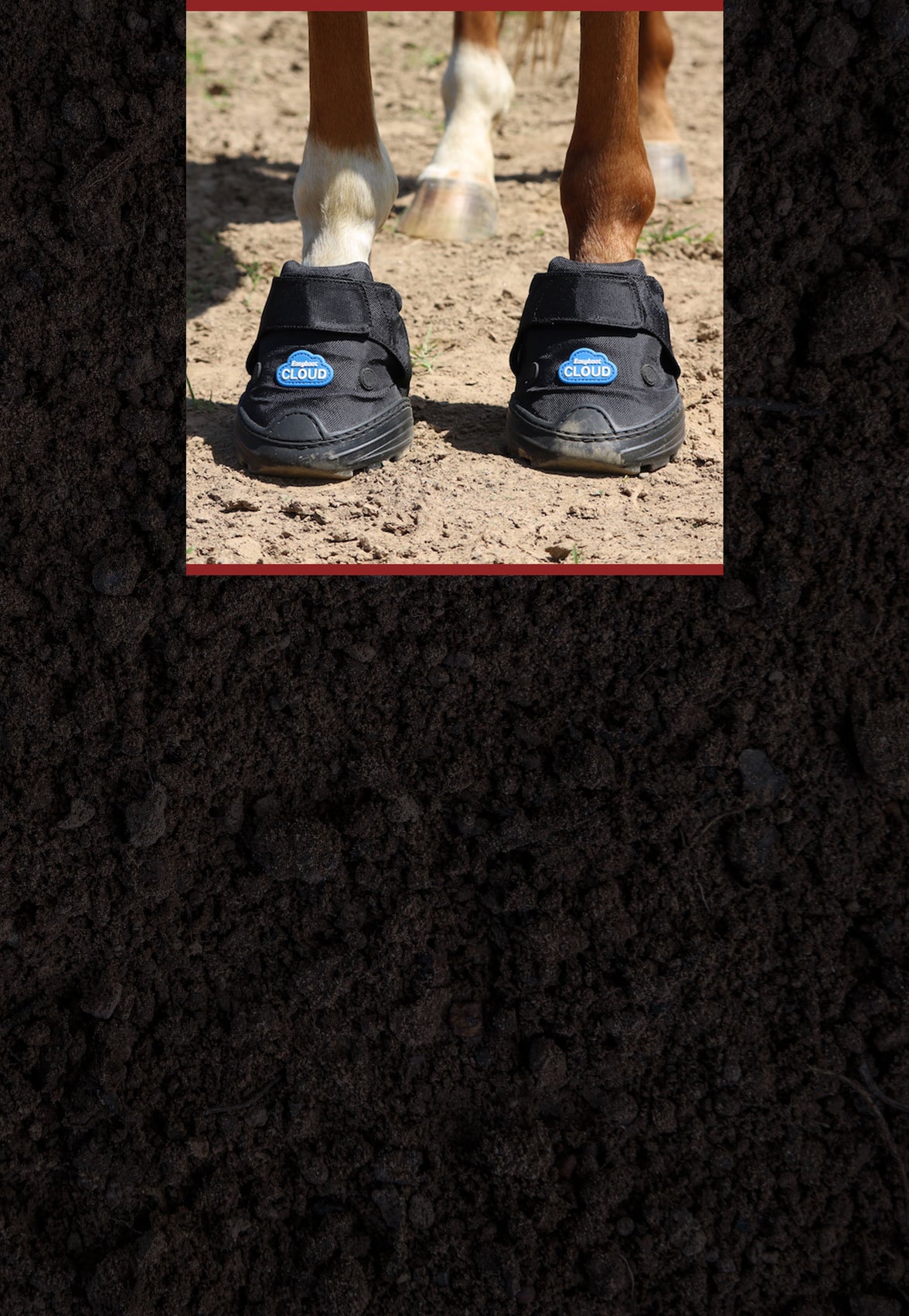 Deals Worth Nickering About - Riding Warehouse