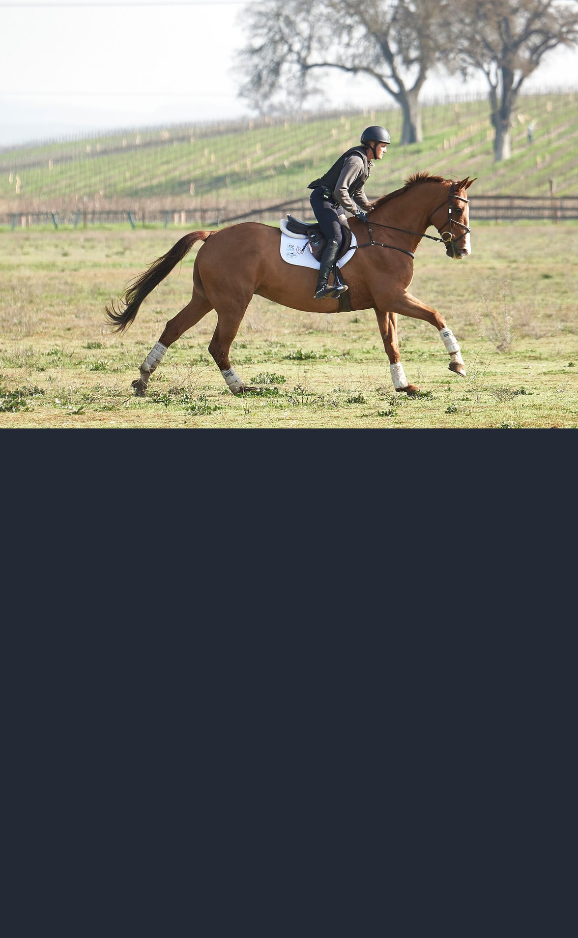 Women's Western Riding Apparel - Riding Warehouse
