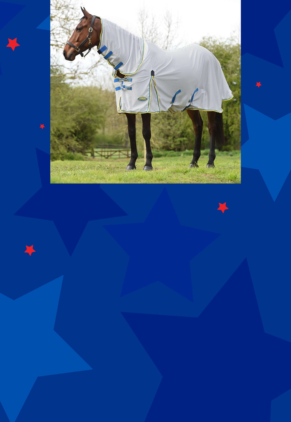 Deals Worth Nickering About - Riding Warehouse