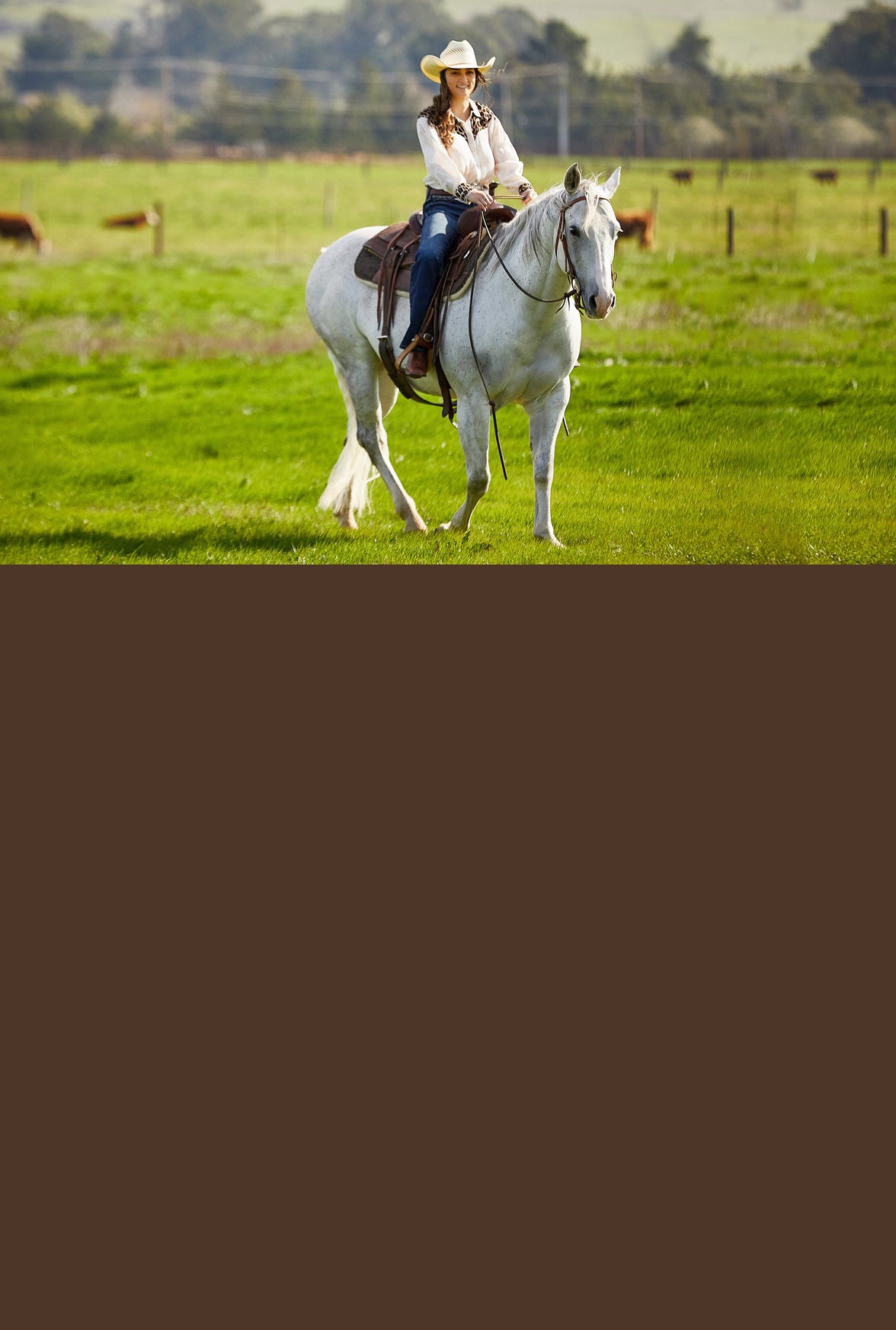 Women's English Riding Apparel - Riding Warehouse