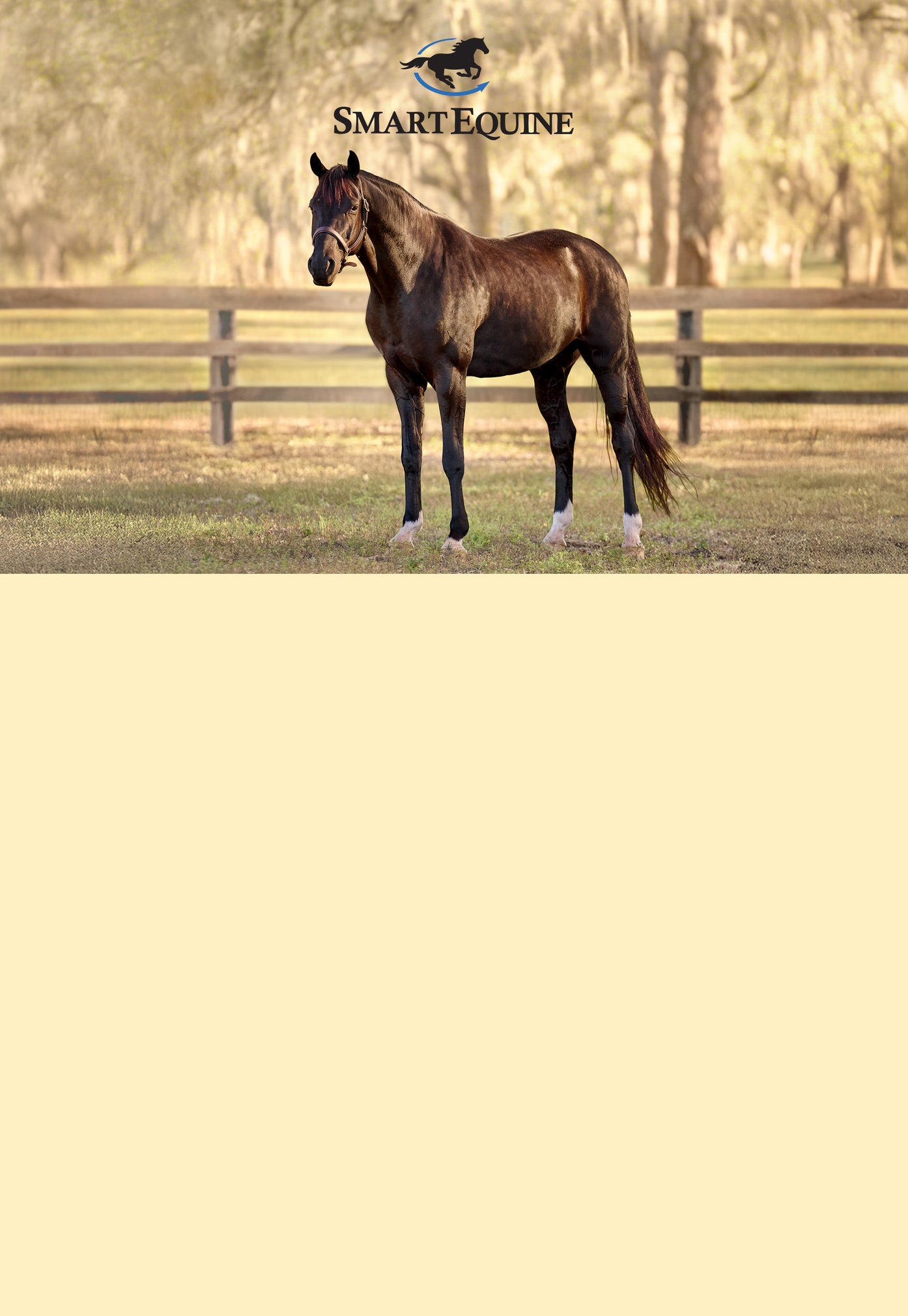 Horse Tack | Horse Gear & Supplies - Riding Warehouse