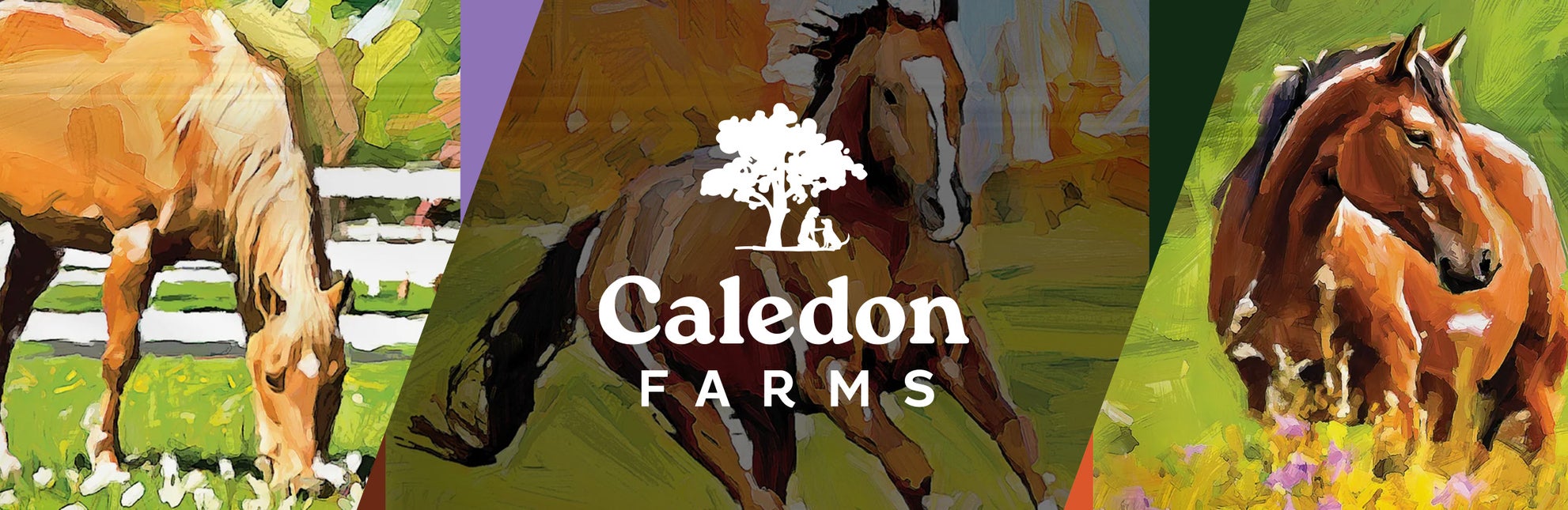 Caledon Farms - Riding Warehouse