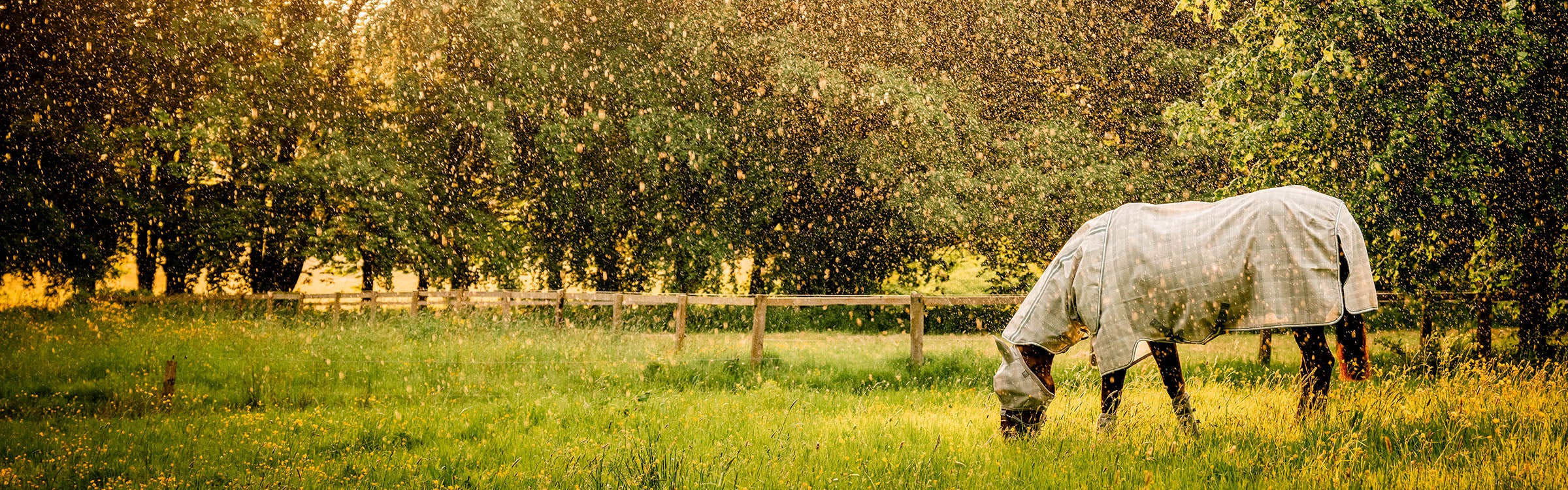 Fly Control and Protection for Horse & Barn - Riding Warehouse