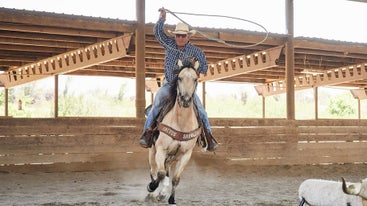 Riding Warehouse Learning Center - Riding Warehouse