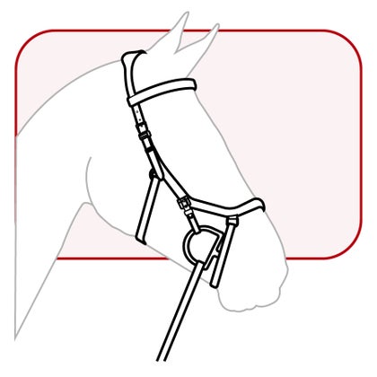 Horse Tack | Horse Gear & Supplies - Riding Warehouse