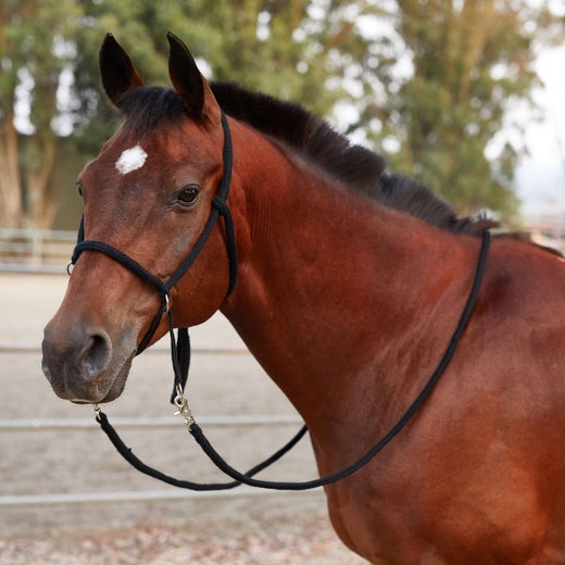 Western Headstall Bridles and Accessories - Riding Warehouse