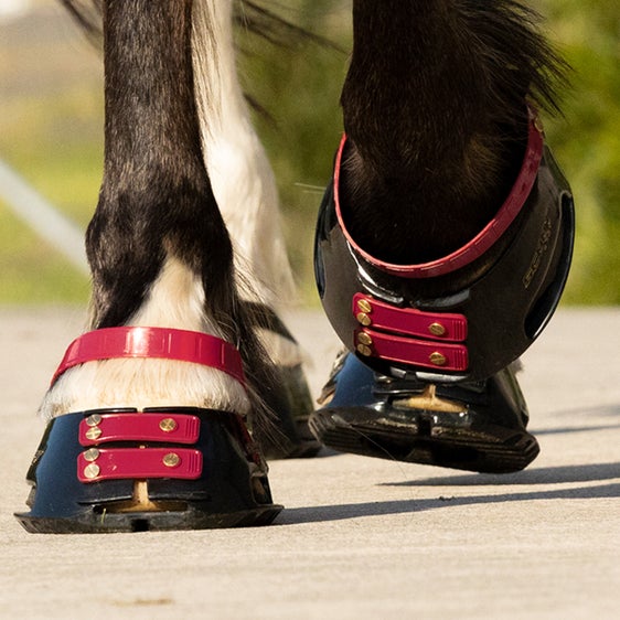 Horse Hoof Boots & Horseshoes - Riding Warehouse