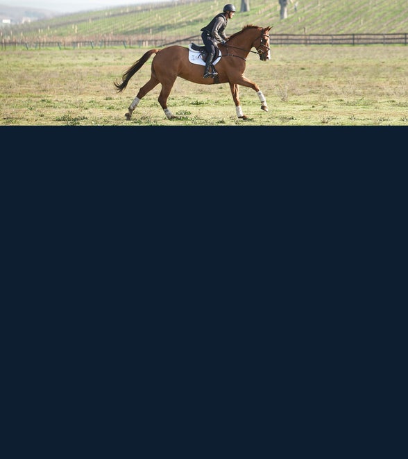 Endurance Horse Tack & Supplies - Riding Warehouse