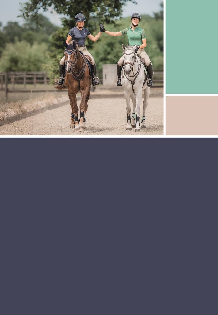 Horse Tack | Horse Gear & Supplies - Riding Warehouse