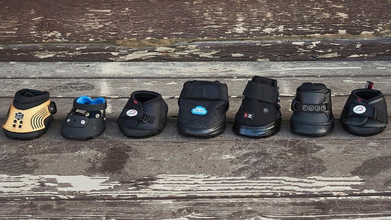 Endurance Horse Tack & Supplies - Riding Warehouse