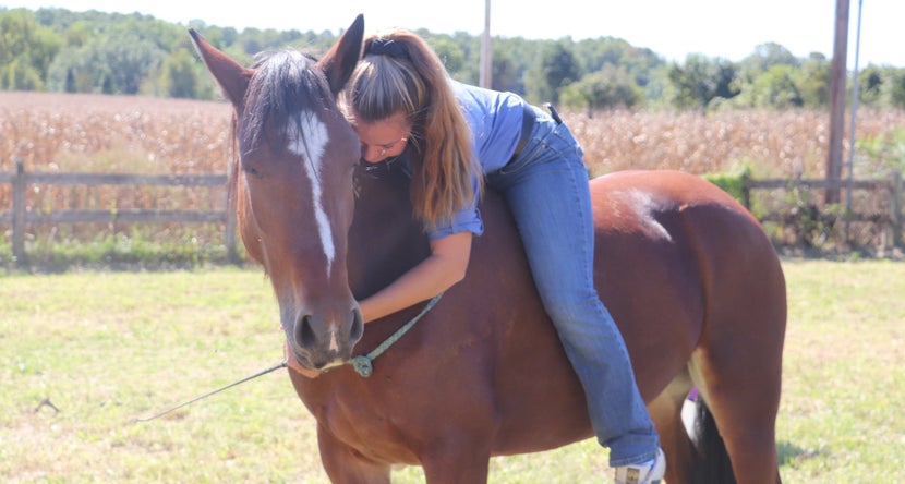 RW Sponsored Rider: Sam VanFleet Mustangs - Riding Warehouse