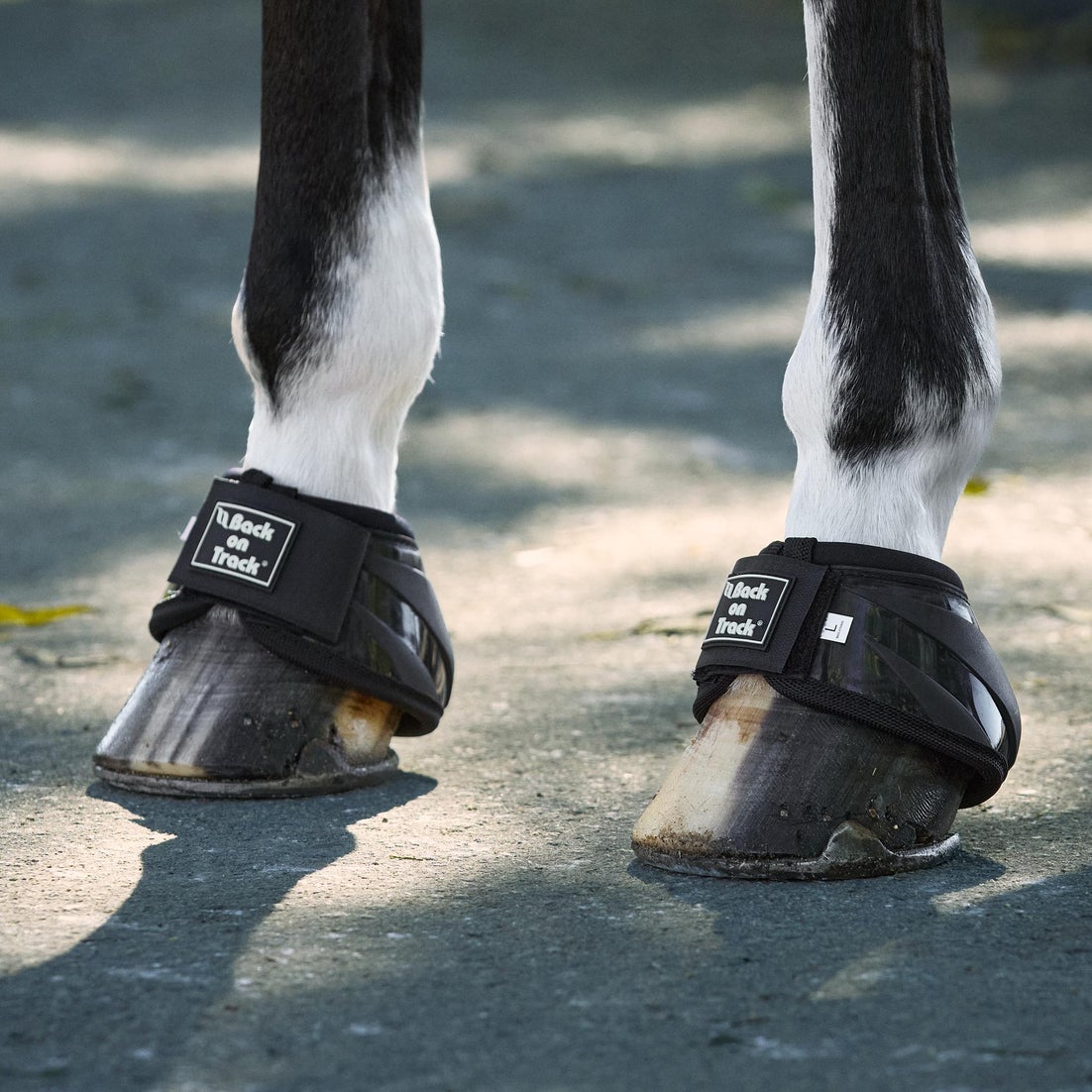 Back On Track Therapeutic Performance Bell Boots | Riding Warehouse