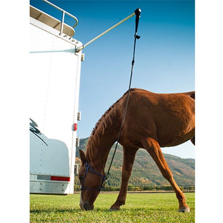 EasyCare HiTie Horse Trailer Tie System | Riding Warehouse