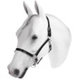 Zilco Deluxe Trail Halter - Standard Size | Riding Warehouse