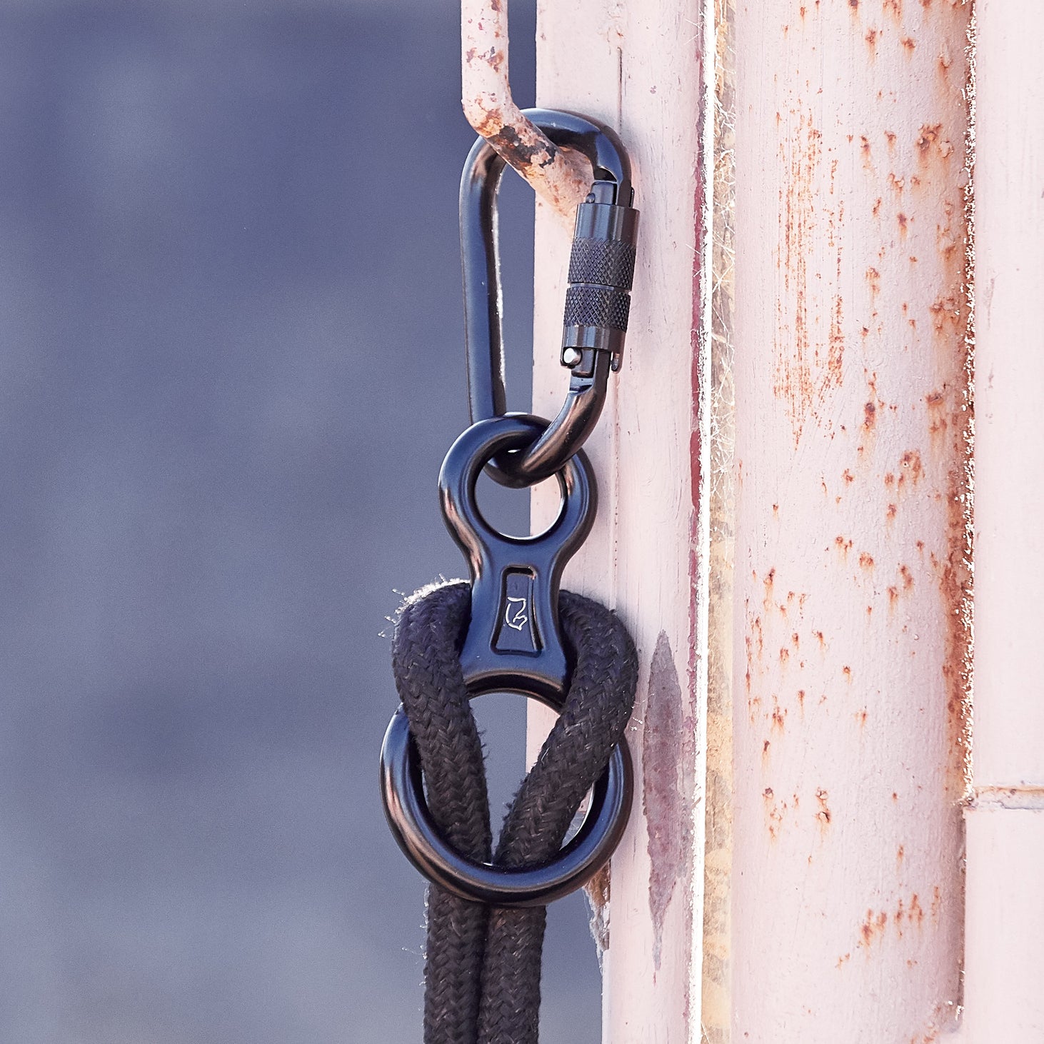 Coast Ranch Horse Safe Tie with Locking Carabiner | Riding Warehouse
