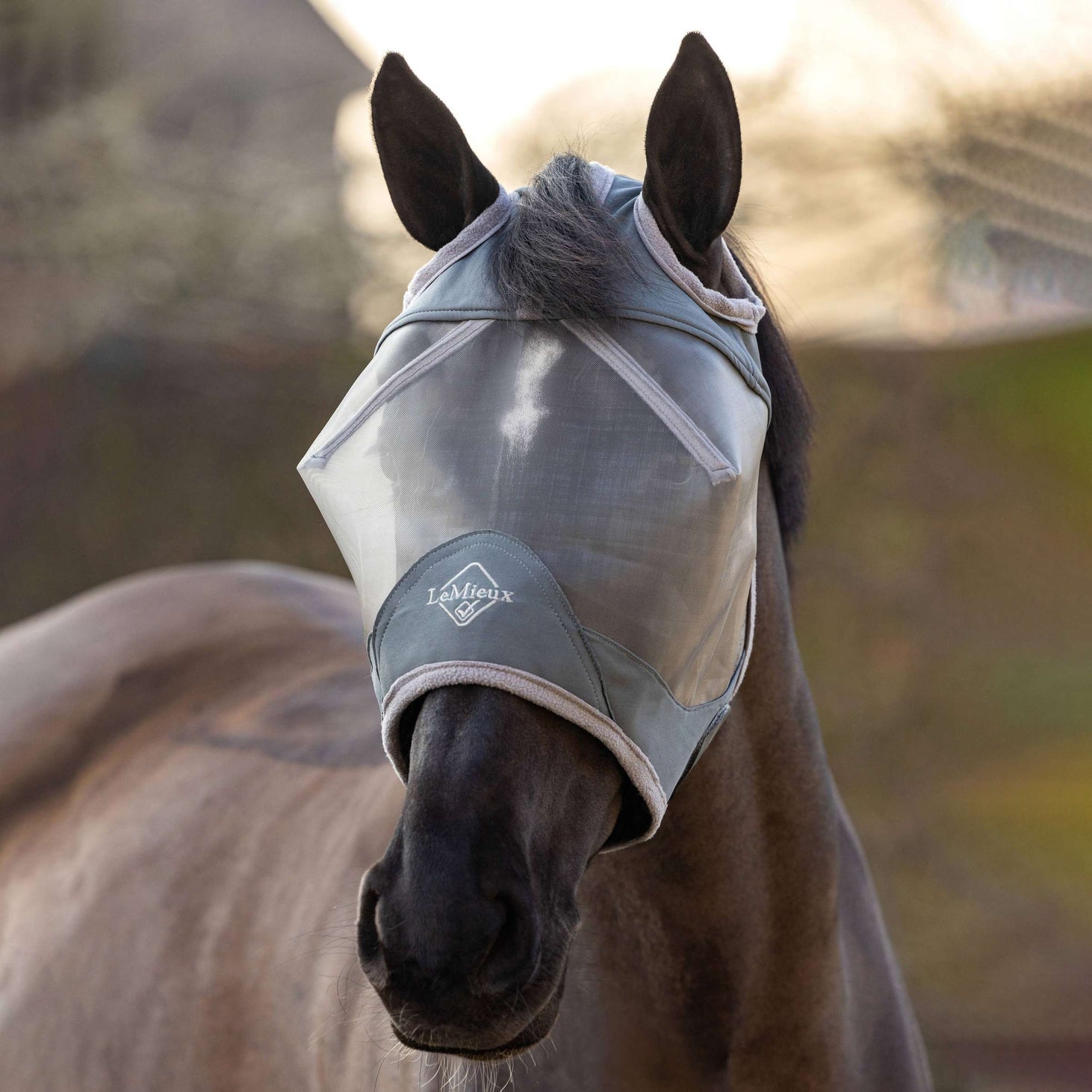 Lemieux Armourshield Pro Standard Fly Mask | Riding Warehouse
