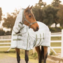 Best Horse Fly Sheets of 2024