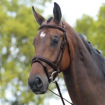 Deals Worth Nickering About - Riding Warehouse