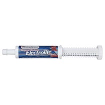 Electrolyte Paste Horse Supplements - Riding Warehouse