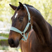Endurance Horse Tack & Supplies - Riding Warehouse