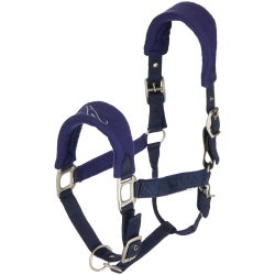 Flat Web & Nylon Halters - Riding Warehouse