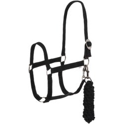Flat Web & Nylon Halters - Riding Warehouse