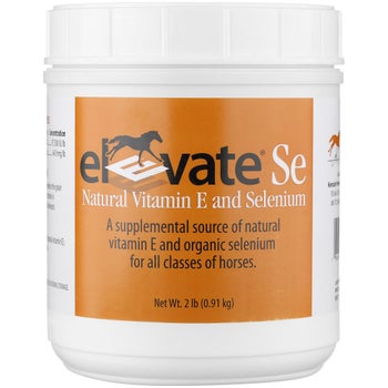 Kentucky Performance Elevate SE Vitamin E & Selenium - Riding Warehouse