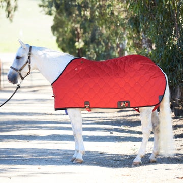 Horse Stable Blankets & Blanket Liners - Riding Warehouse