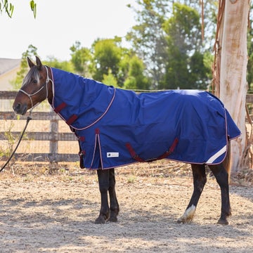 Horse Turnout Blankets & Sheets - Riding Warehouse