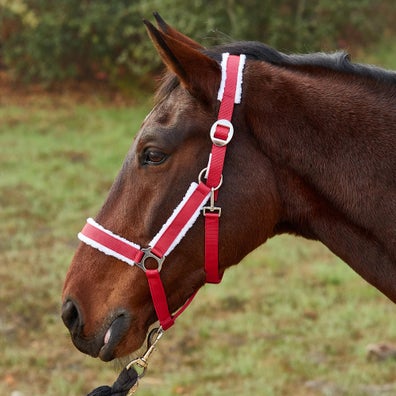 Endurance Horse Tack & Supplies - Riding Warehouse