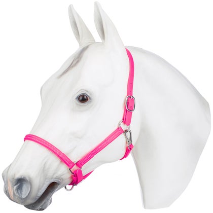 Berlin Beta BioThane Endurance Halter Bridle | Riding Warehouse