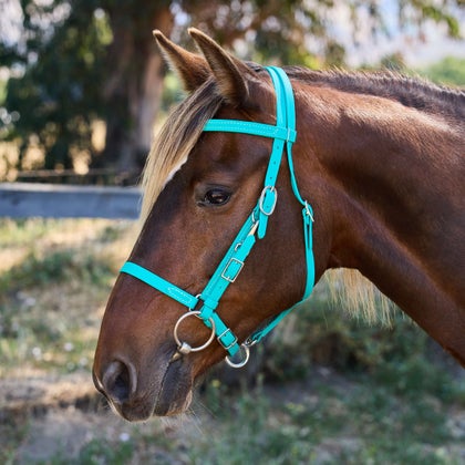 Berlin Beta BioThane Endurance Halter | Riding Warehouse
